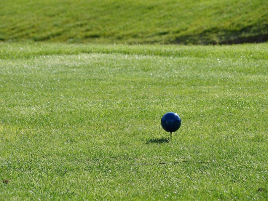 In-advance Check by Golf Course Managers: Laying the Groundwork for ...